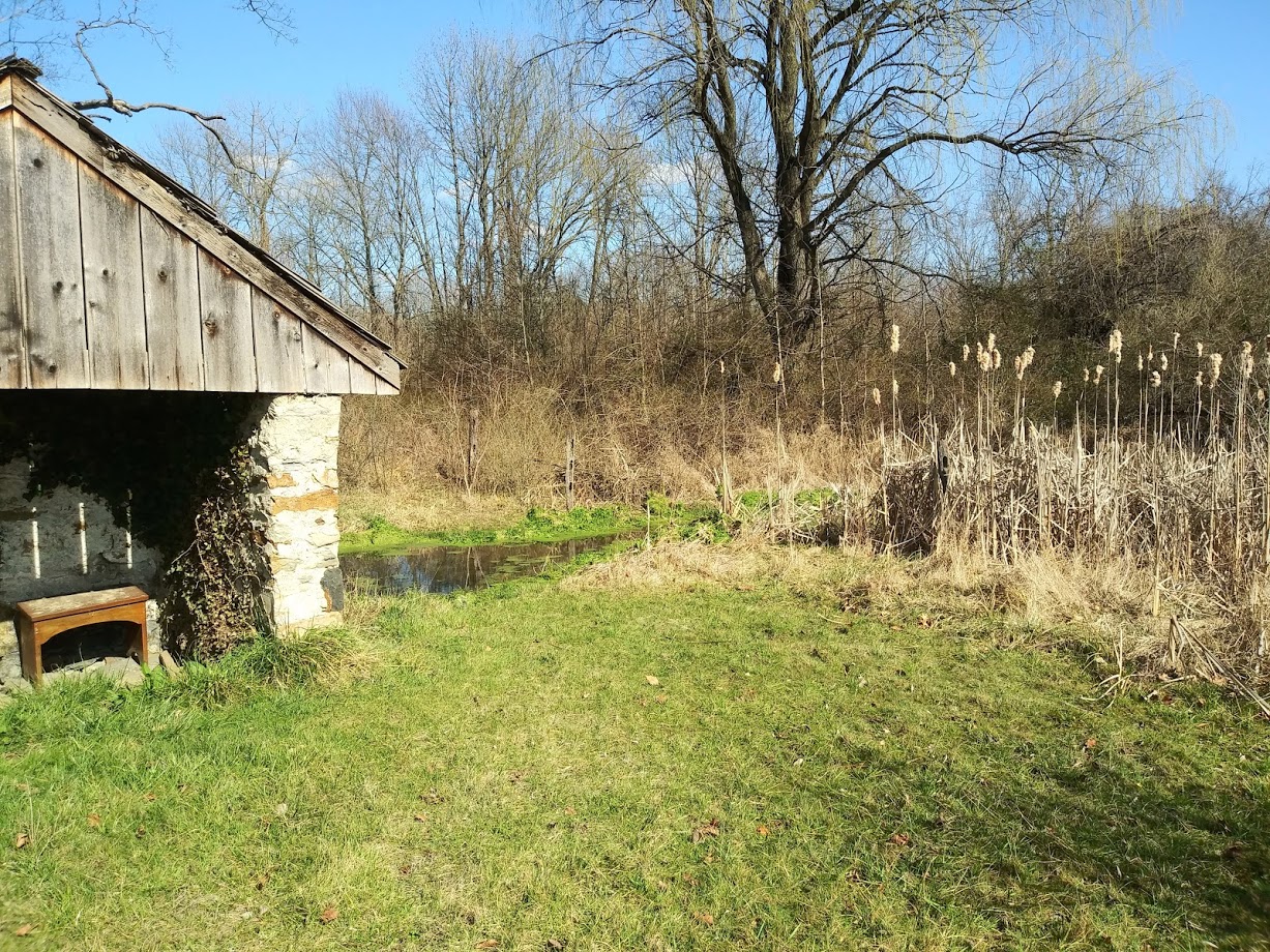 Projects - Restore Our Roots