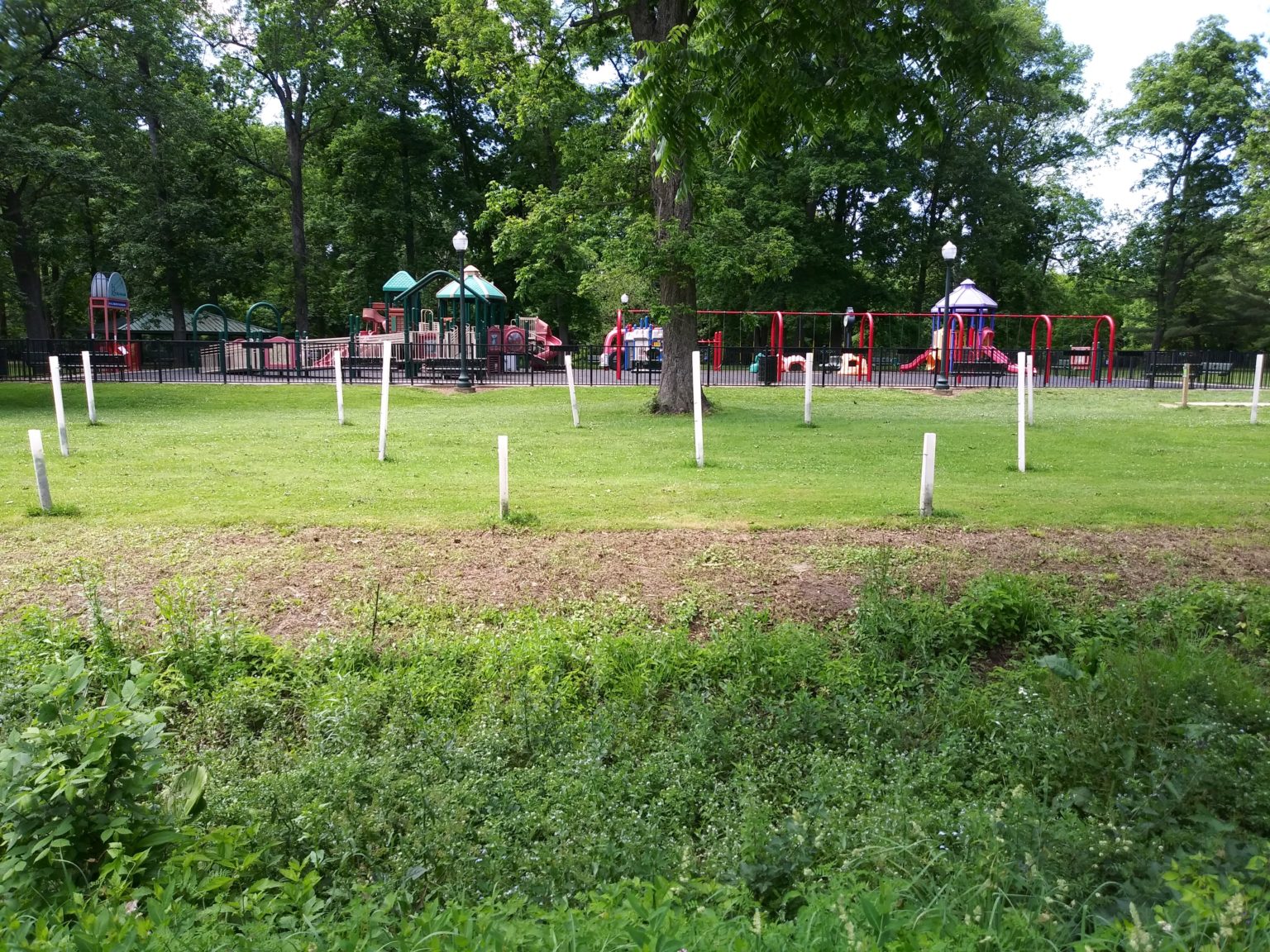 Projects - Restore Our Roots