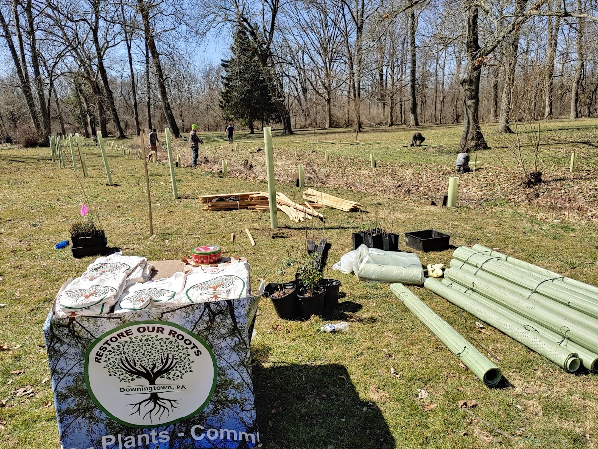 Spring Planting - Restore Our Roots